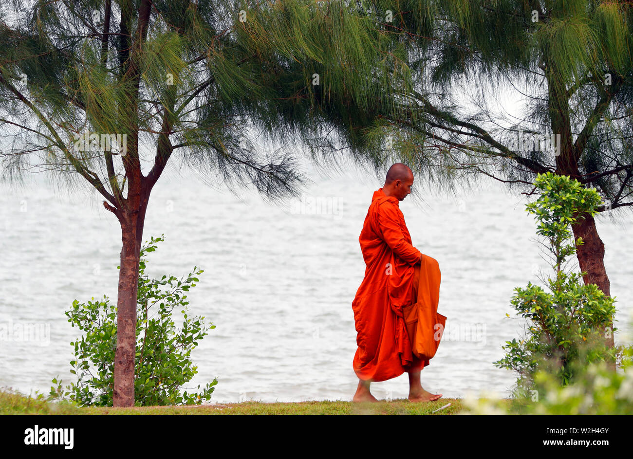 Buddhist monk meditation hi-res stock photography and images - Alamy