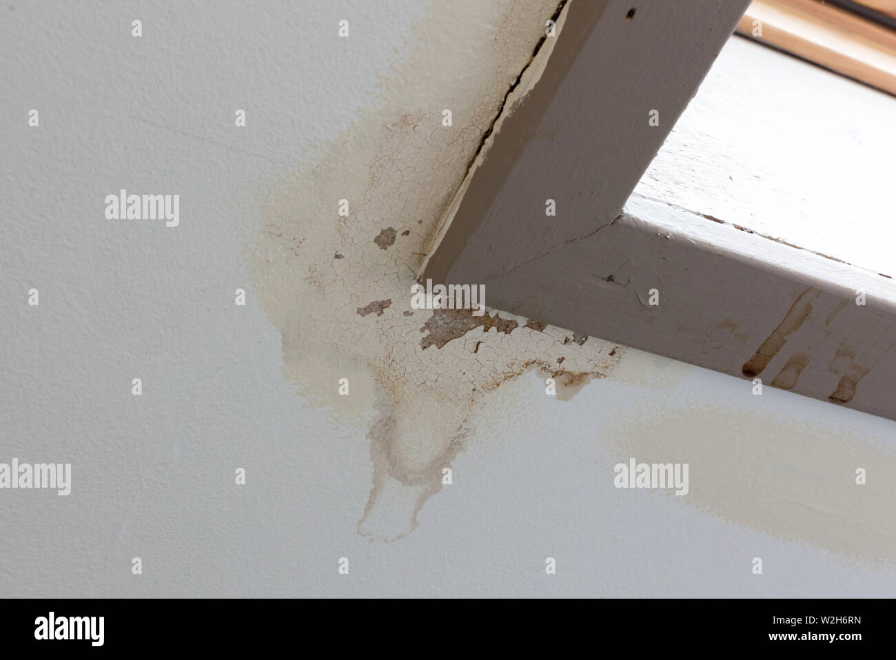 Roof window after leaking, wood and ceiling in serious need of some ...