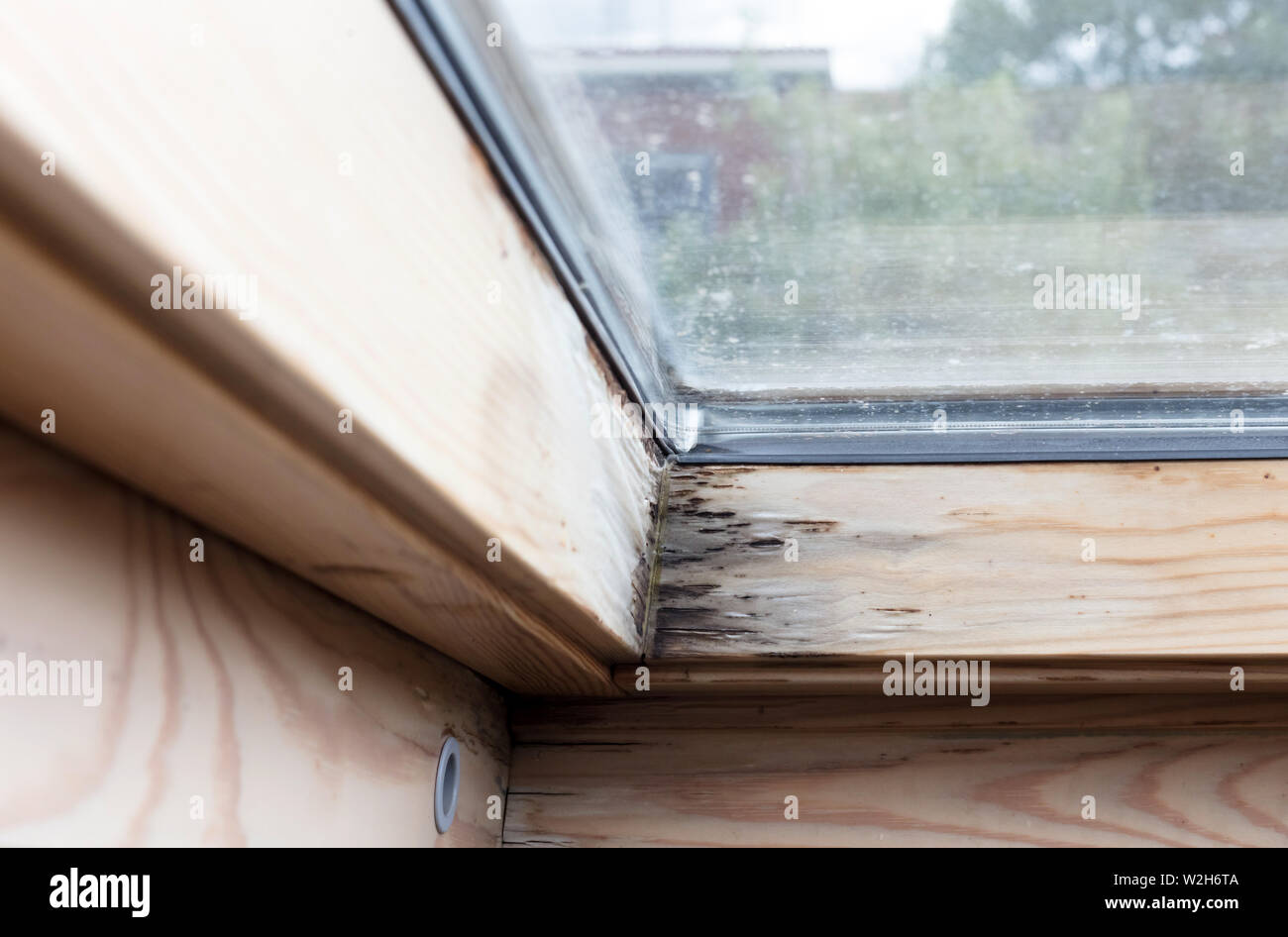 Roof window after leaking, wood is starting to rot Stock Photo - Alamy