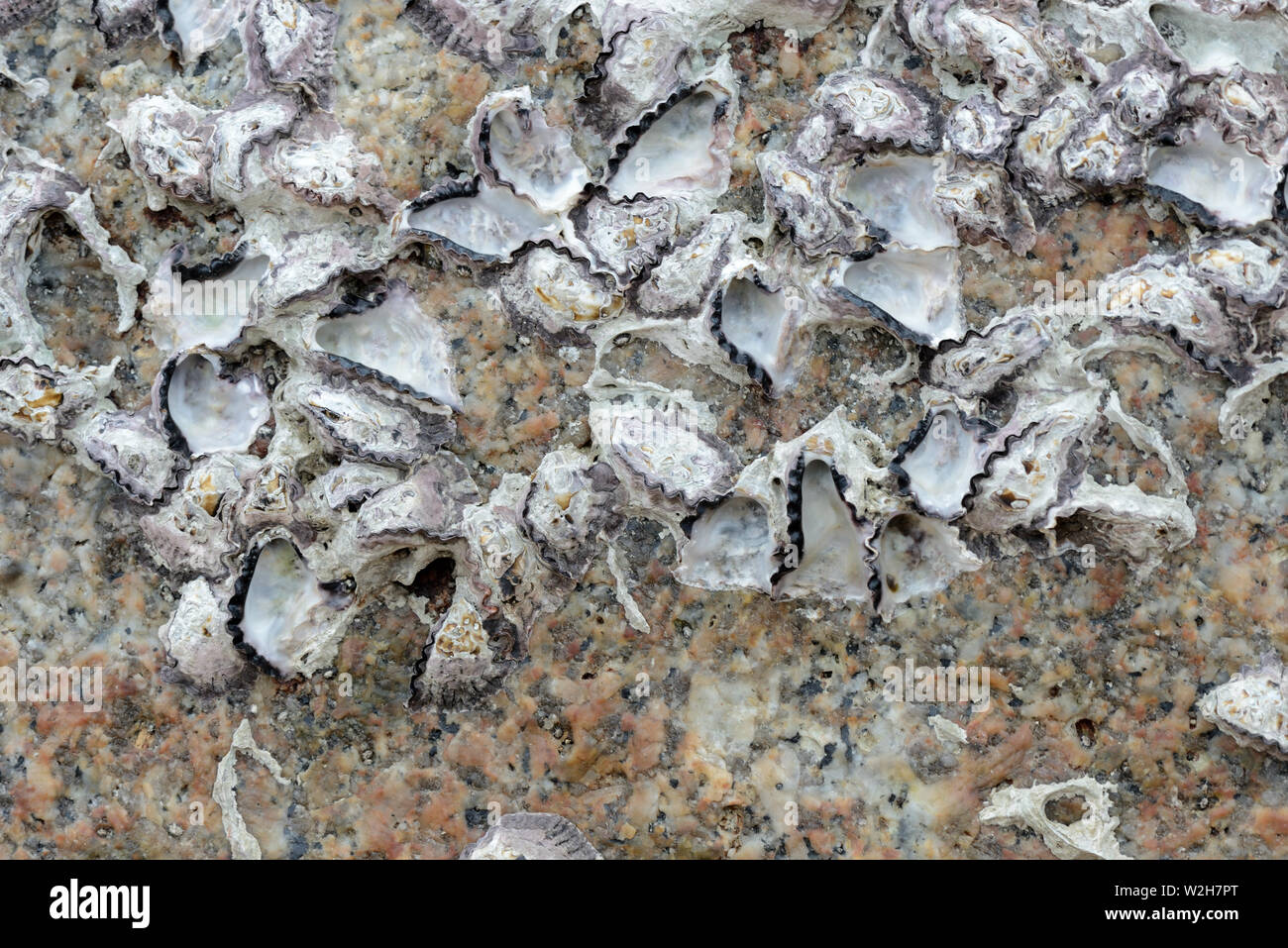 Close up abstract tropical lagoon hi-res stock photography and images ...