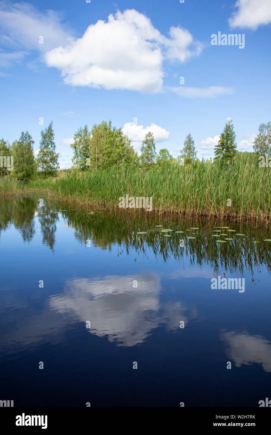 Lakeshore scenery hi-res stock photography and images - Alamy