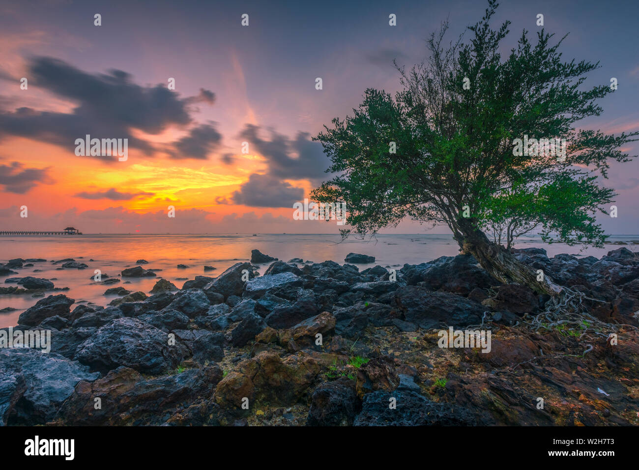 World of sunshine hi-res stock photography and images - Alamy