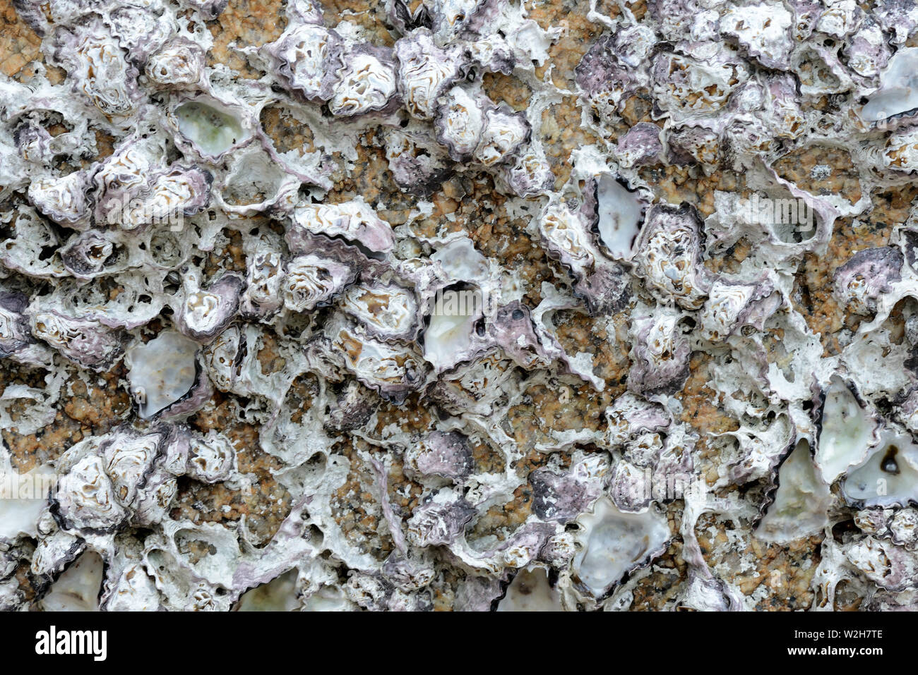 Close up abstract tropical lagoon hi-res stock photography and images ...