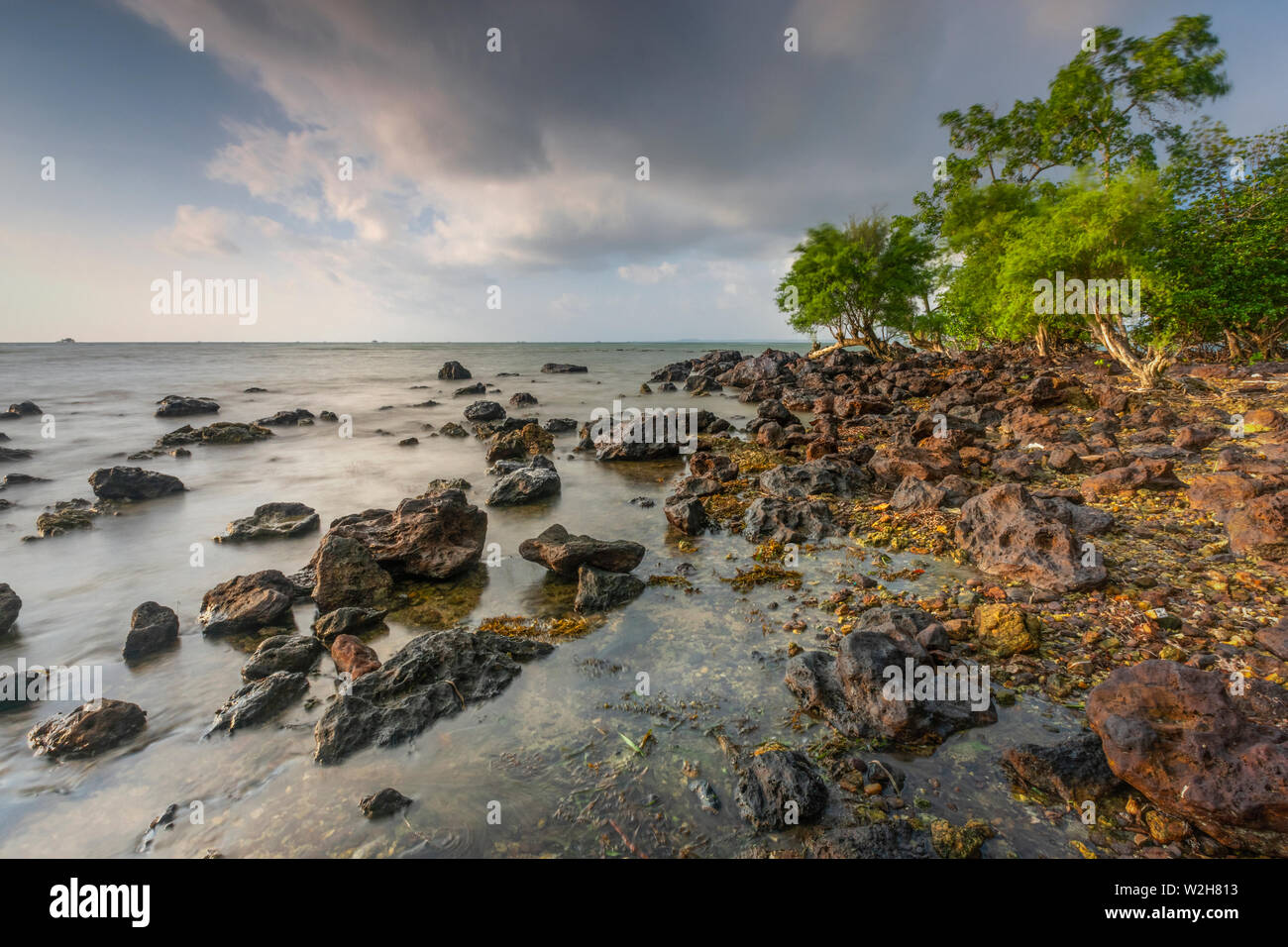good morning rock beach dwellers Stock Photo - Alamy