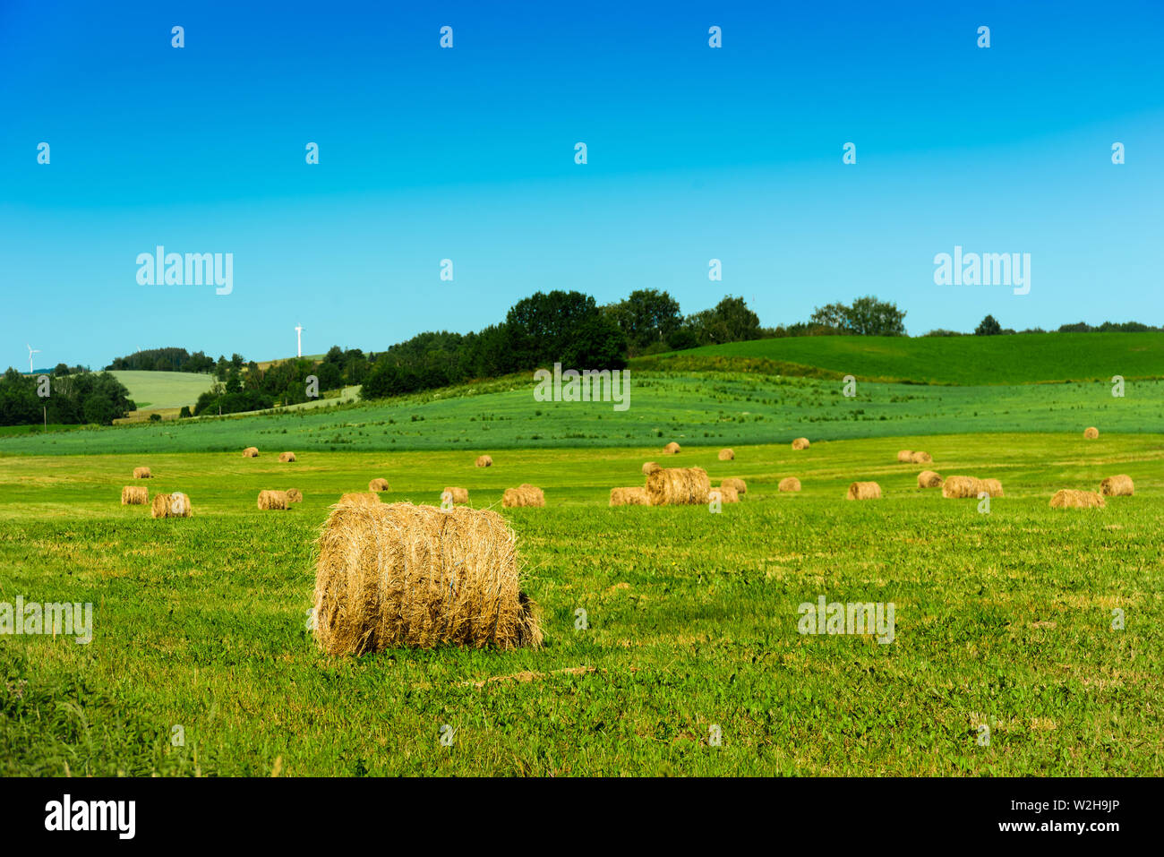 Green field poland landscape scenery hi-res stock photography and ...