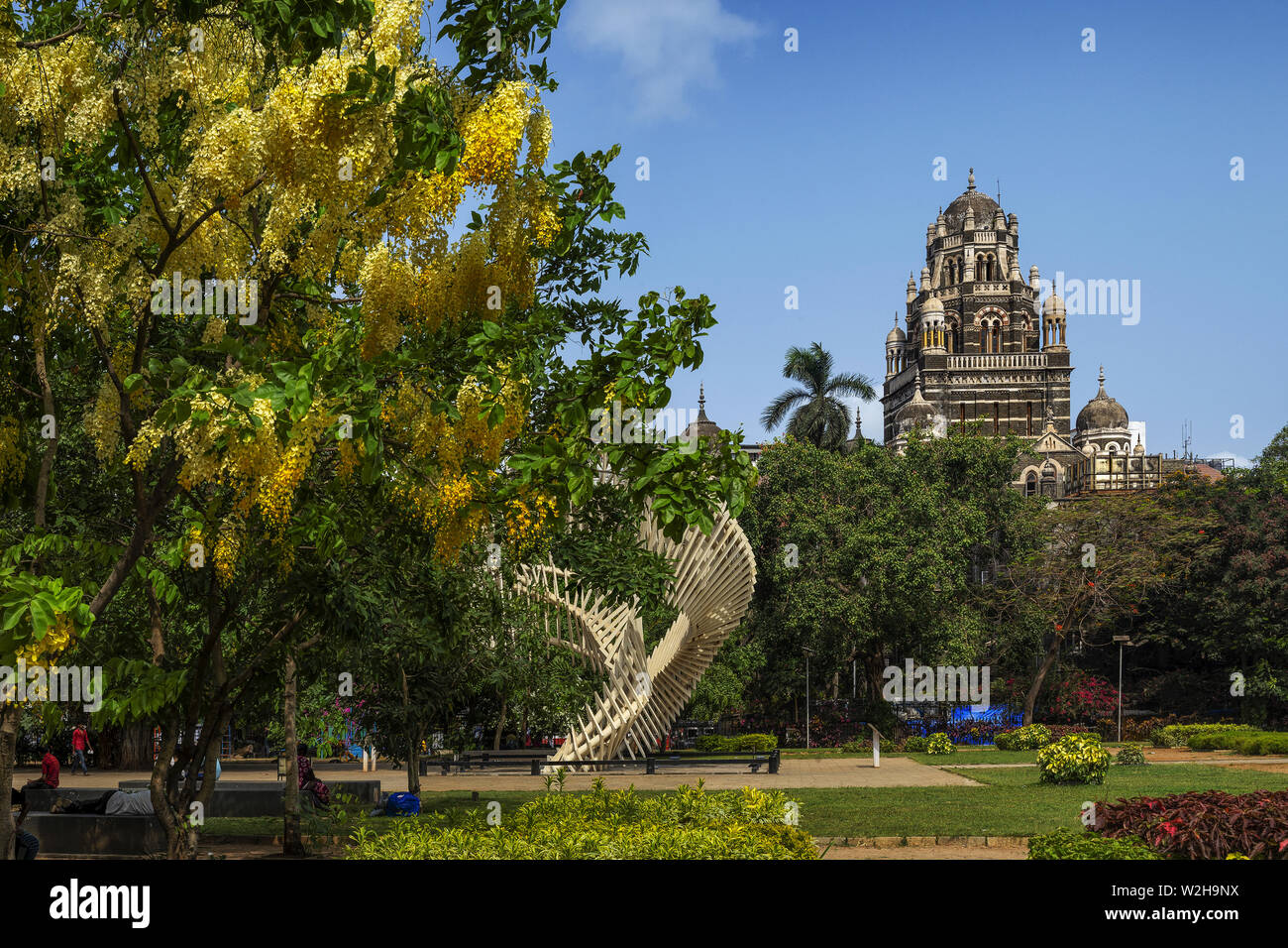 26 May 2018 golden shower tree at Charkha Installation (Building behind ...