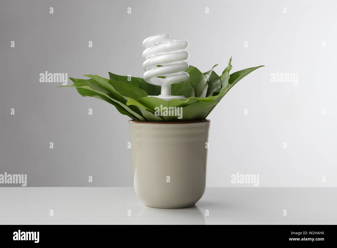Energy saving lightbulb on a potted plant Stock Photo - Alamy