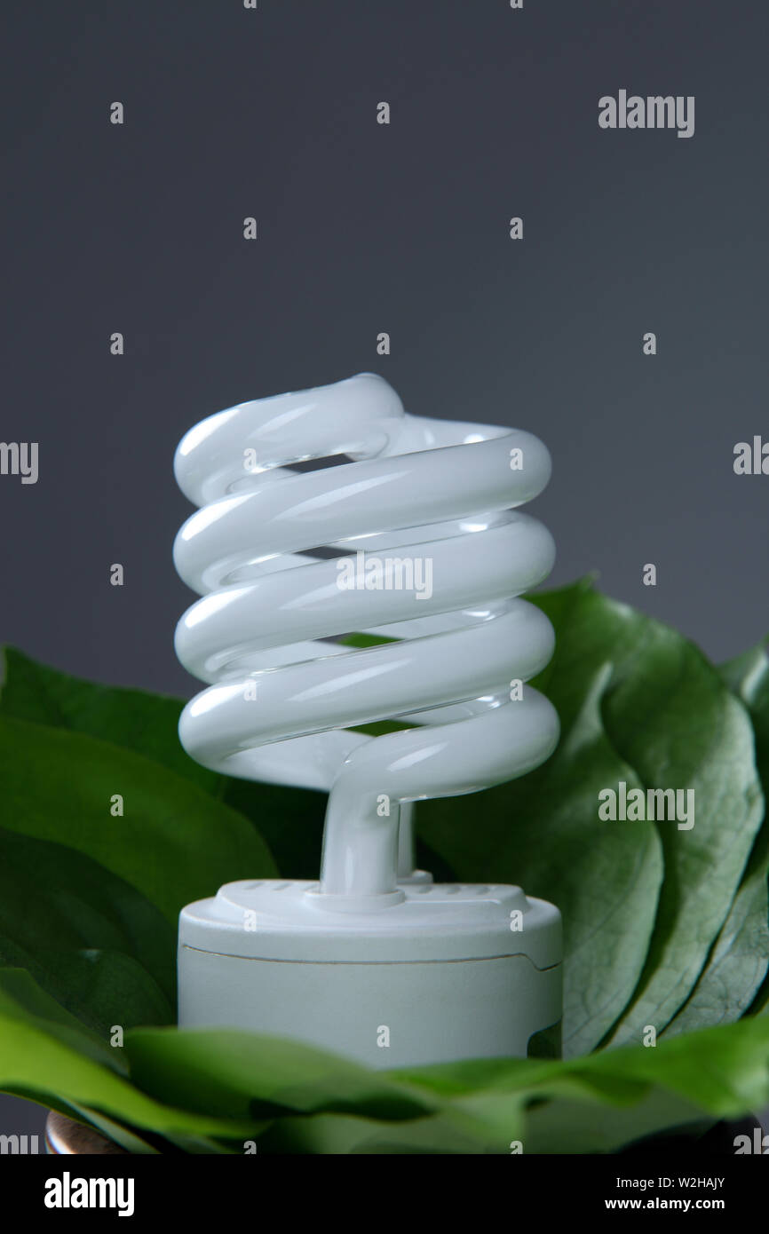 Lightbulb leaves hi-res stock photography and images - Alamy