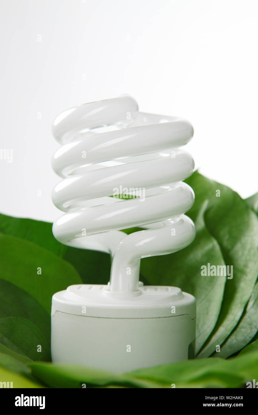 Lightbulb leaves hi-res stock photography and images - Alamy