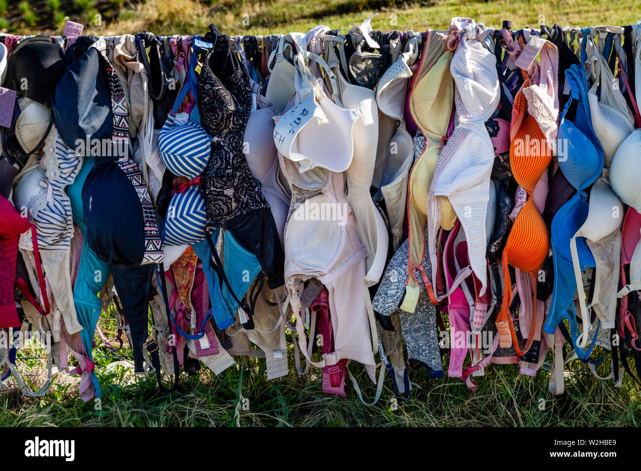 No bra hi-res stock photography and images - Alamy