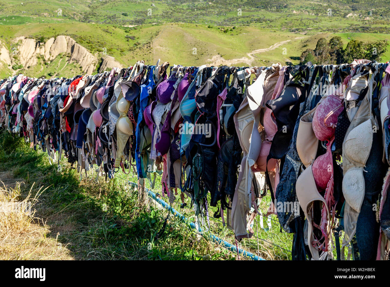 The Cardrona Bra Fence, Cardrona, (near Wanaka), South Island, New ...