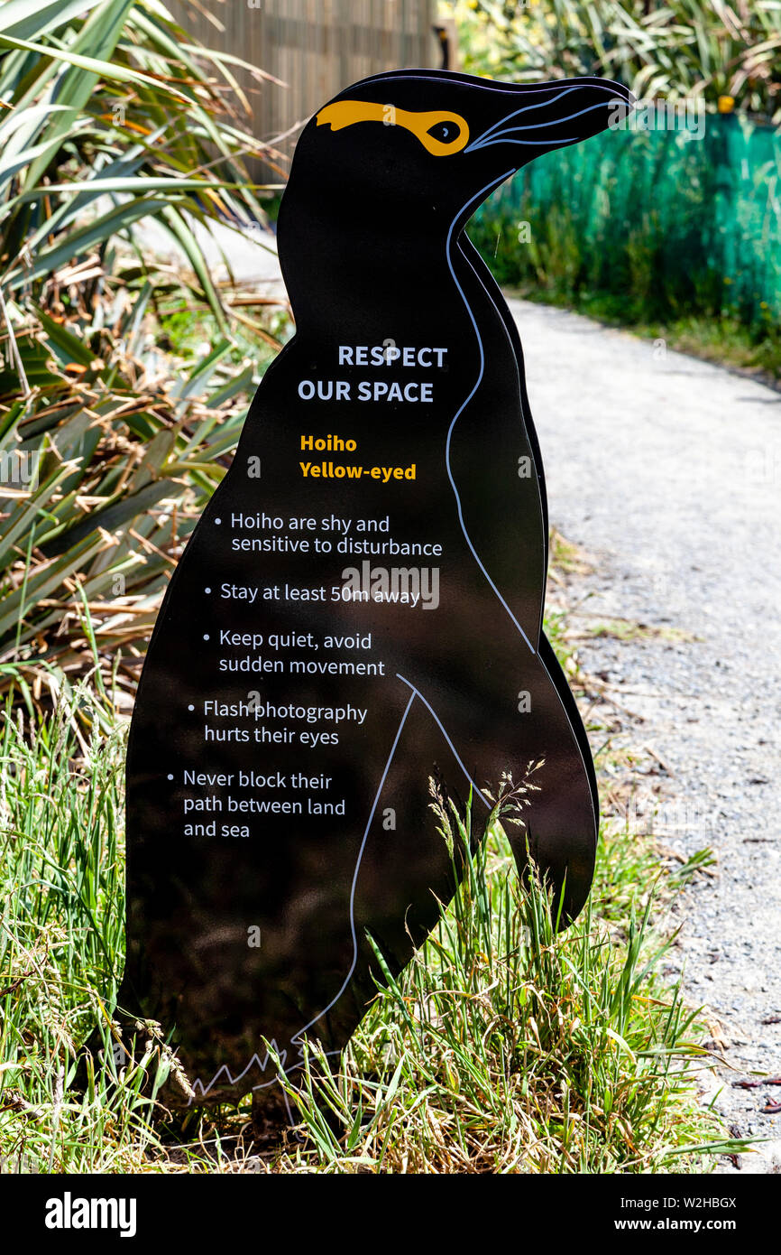 Penguin warning sign new zealand hi-res stock photography and images ...