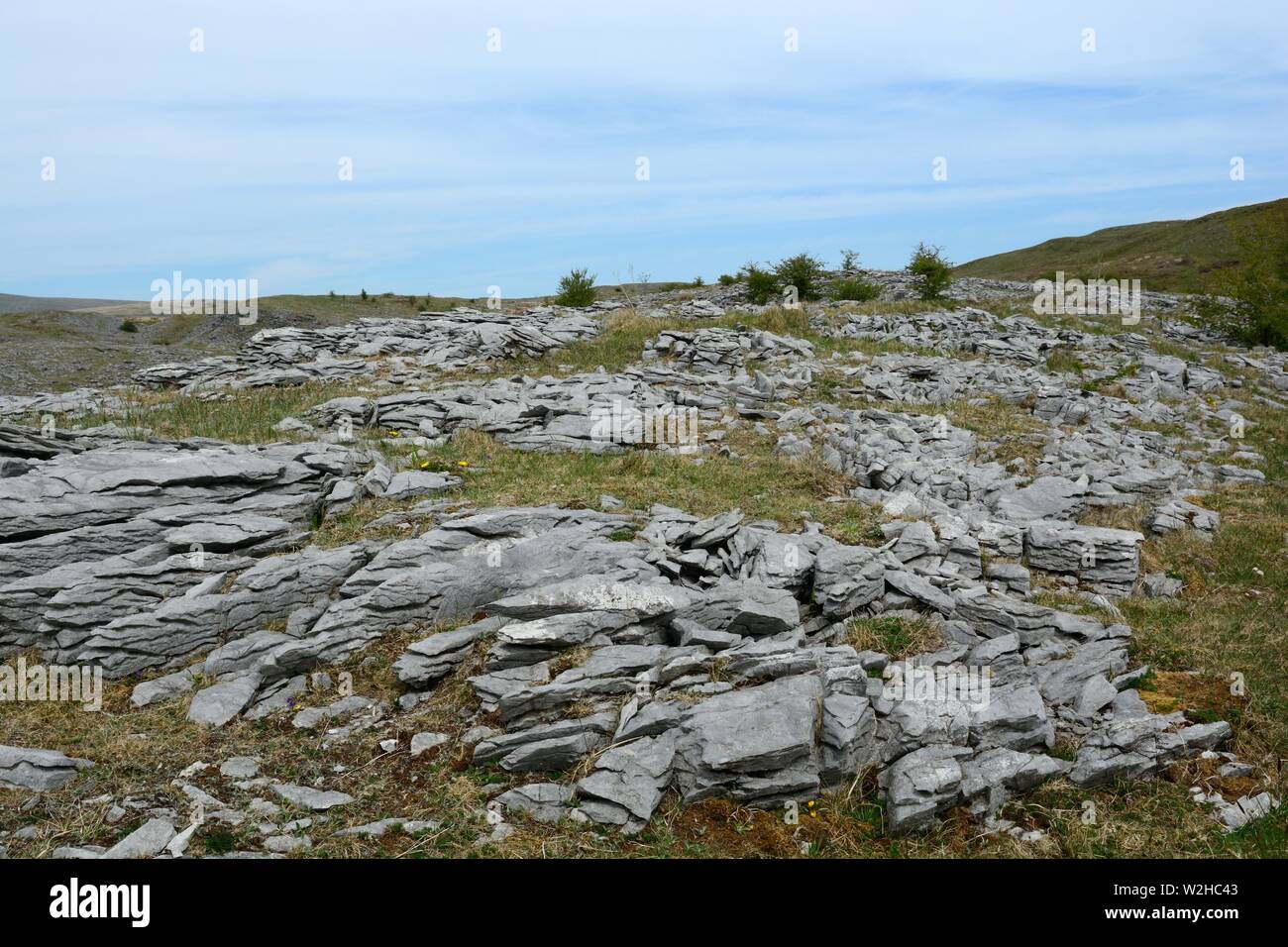 Limestone pavement grikes Ogof Ffynnon Ddu National Nature Reserve ...