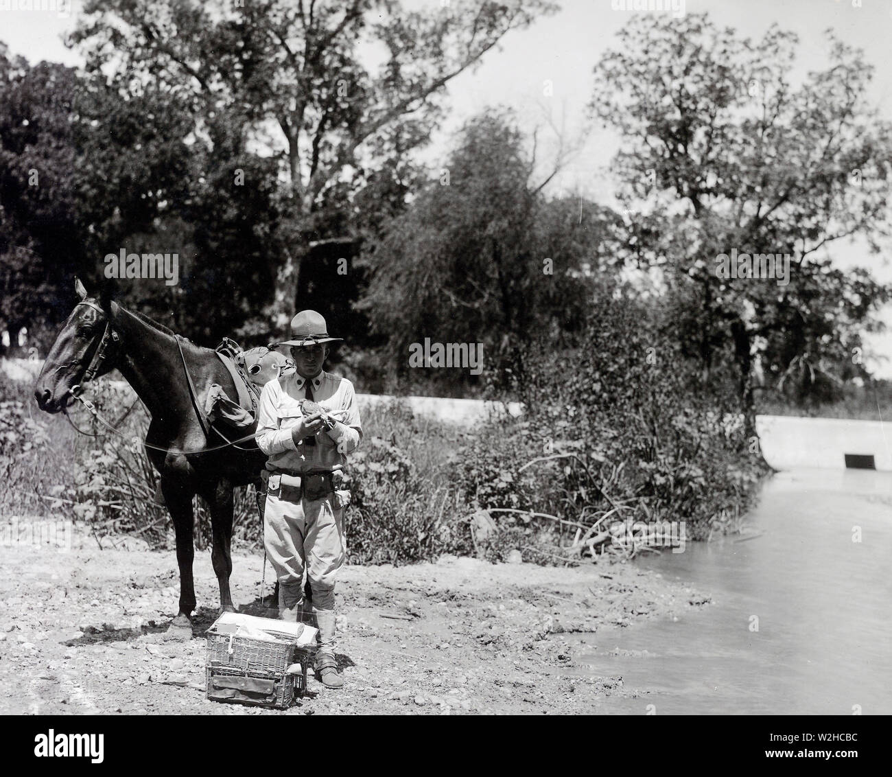 Signal Corps Apparatus. Pigeon Section. Releasing carrier pigeon with a ...