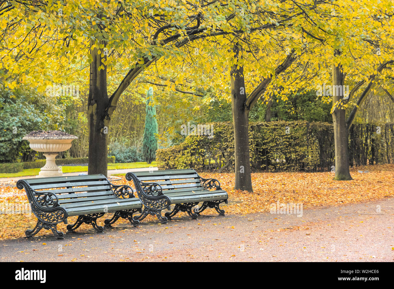 Benches in Regent's Park of London for concept use Stock Photo - Alamy