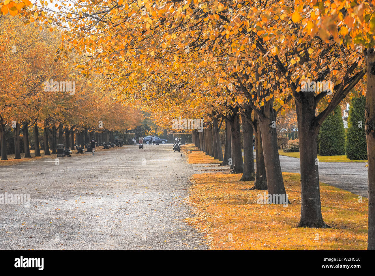 Beautiful london scenery hi-res stock photography and images - Alamy
