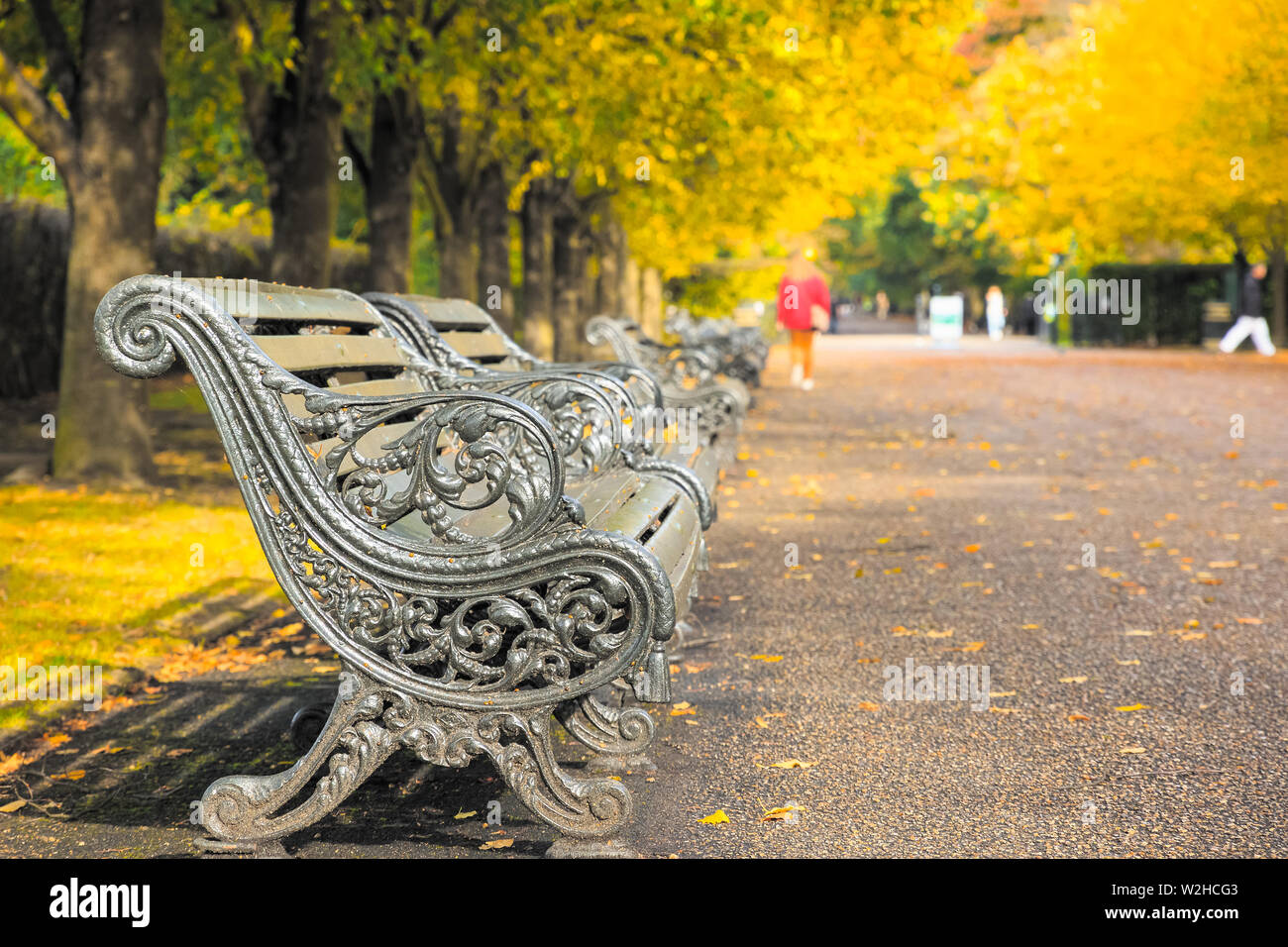 Benches in Regent's Park of London for concept use Stock Photo - Alamy