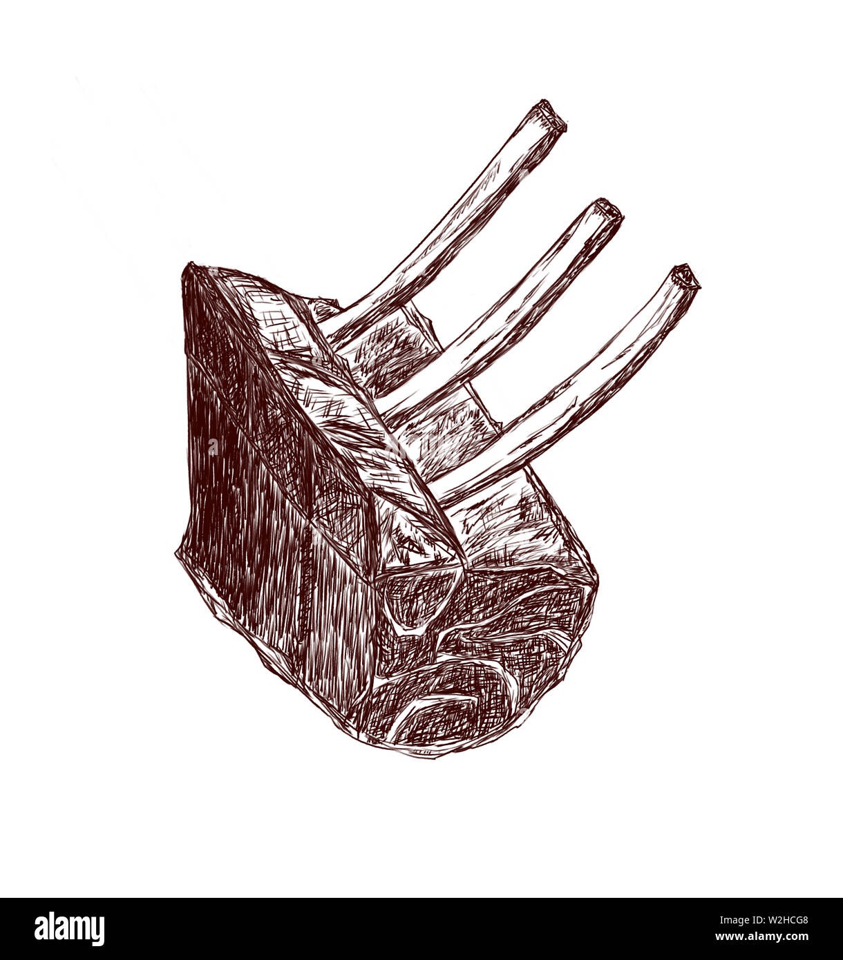 Black and white line illustration, steak beef Stock Photo - Alamy