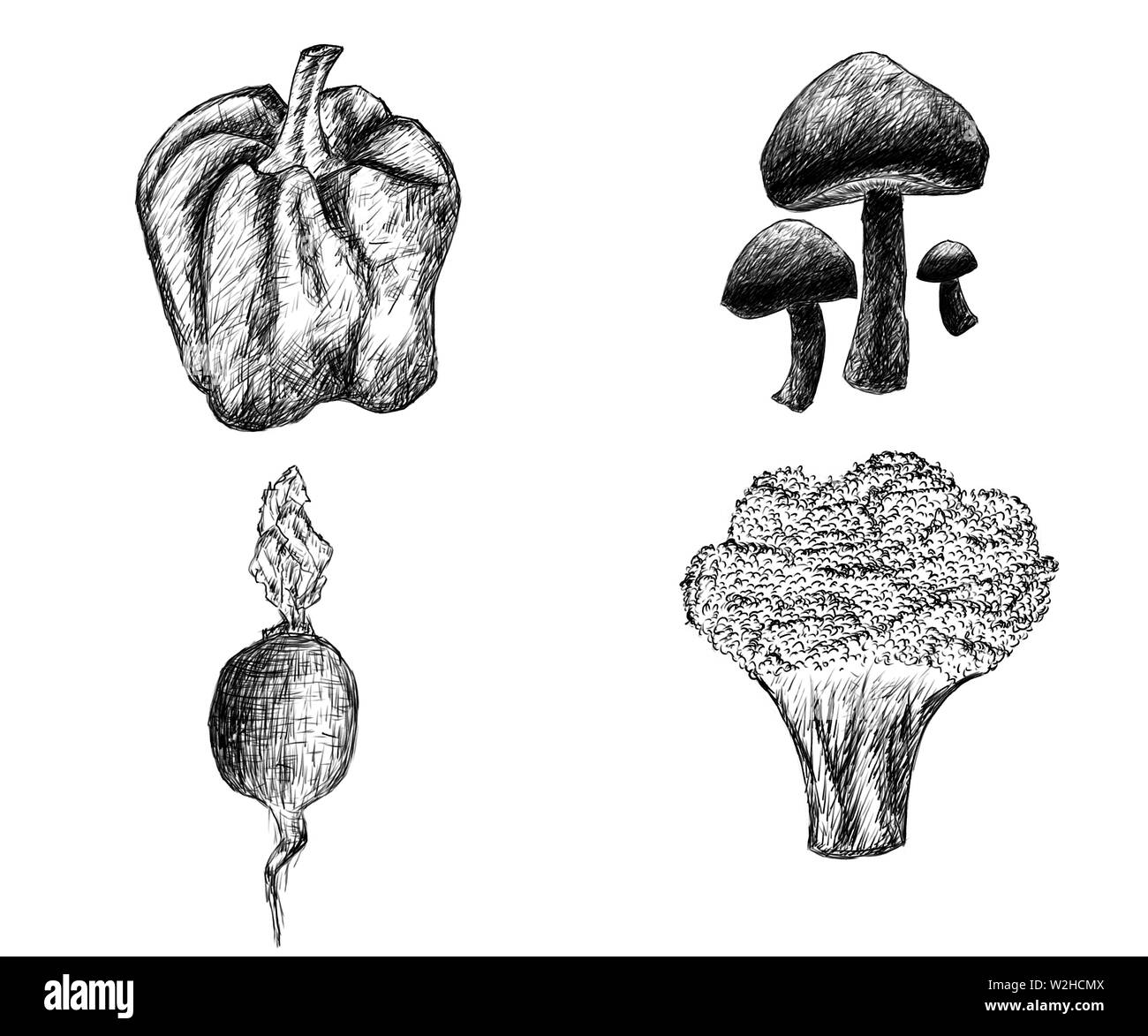 Black and white line illustrations, various vegetables Stock Photo - Alamy