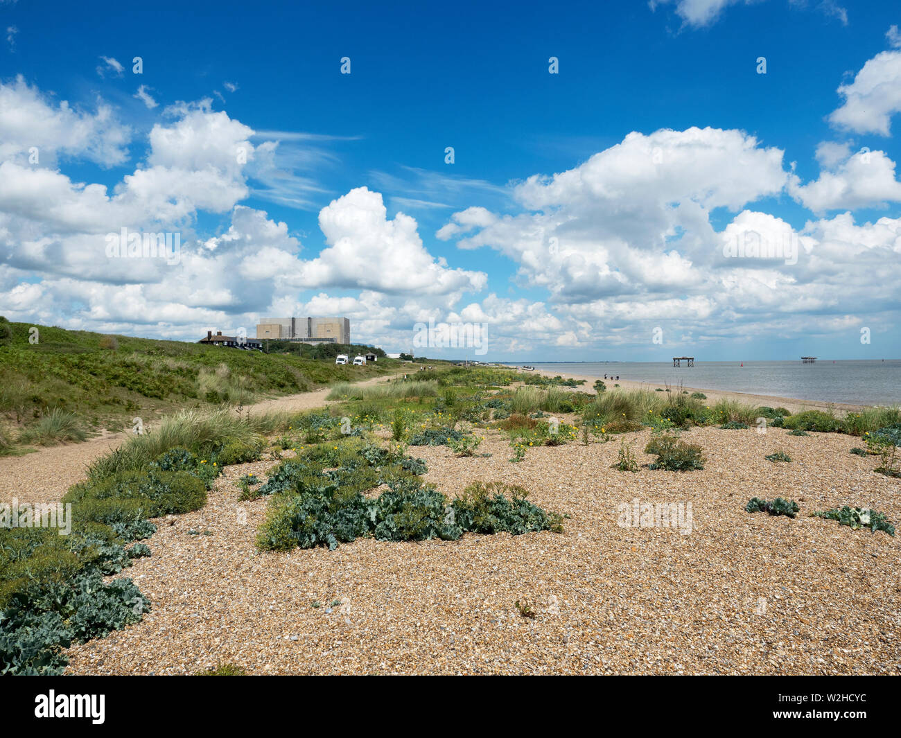 Shingle beach and Sizewell A Power Station at Sizewell Suffolk England ...