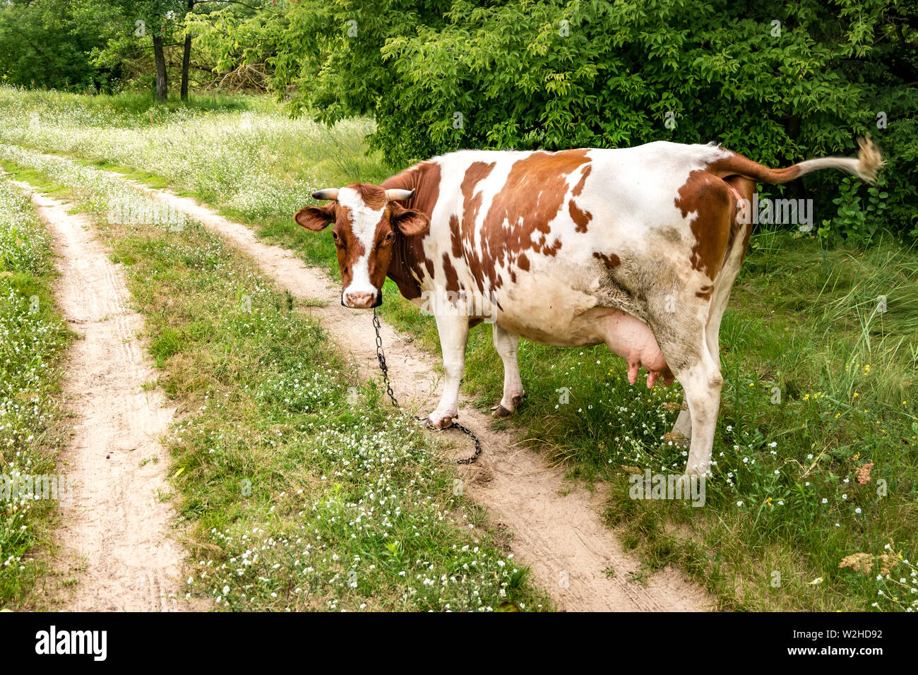Tether white hi-res stock photography and images - Alamy