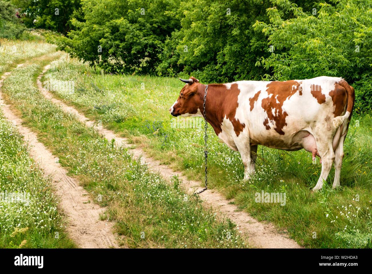 Tether white hi-res stock photography and images - Alamy