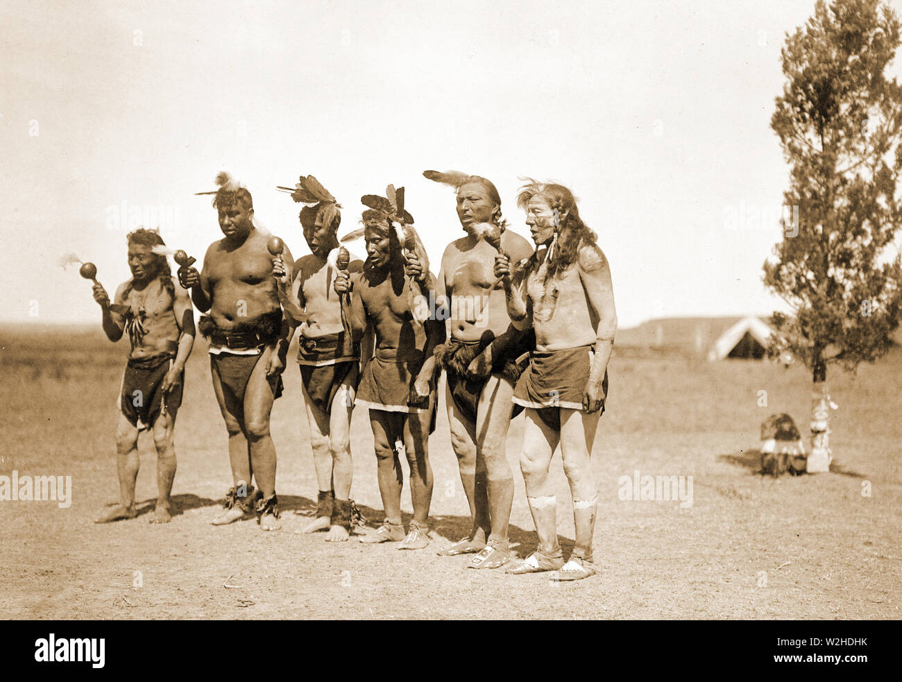 Photo shows six Arikara men standing in line in front of cedar tree ...
