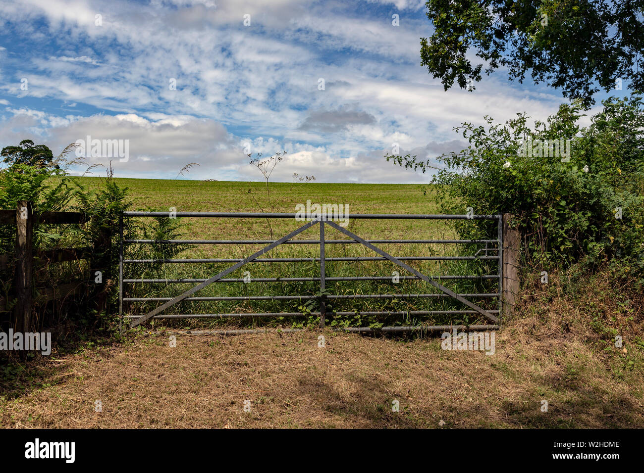 Grass shoulder hi-res stock photography and images - Alamy
