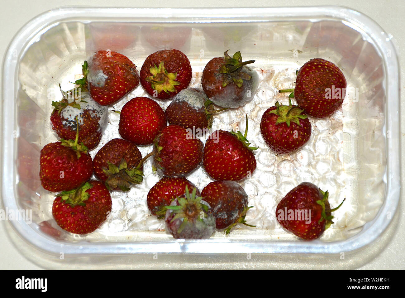 Punnet of strawberries hi-res stock photography and images - Alamy