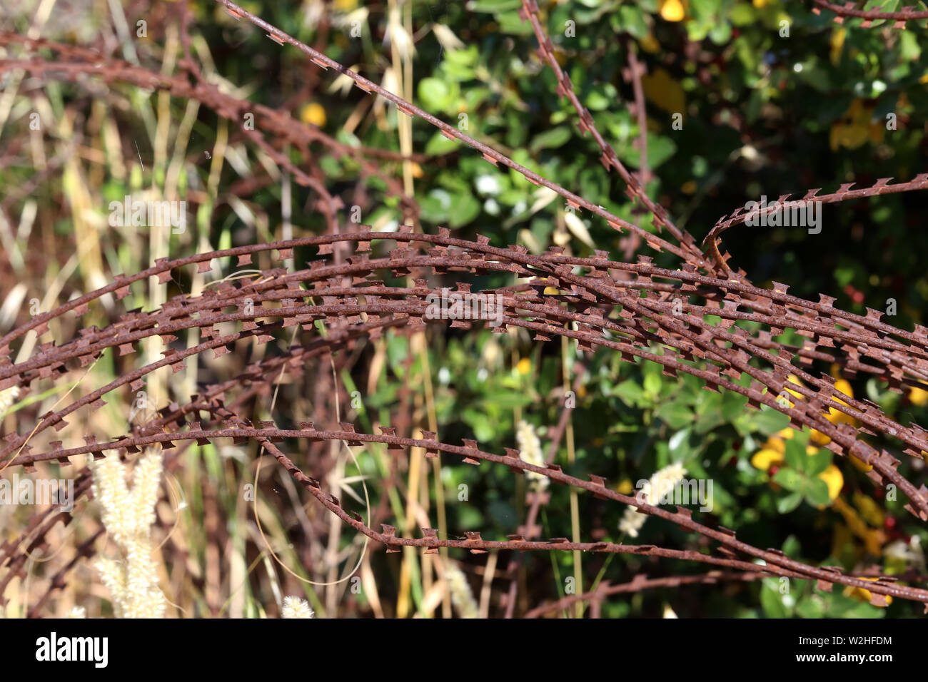 Rusty barbed wire. Clew of old rusty barbed wire Stock Photo - Alamy