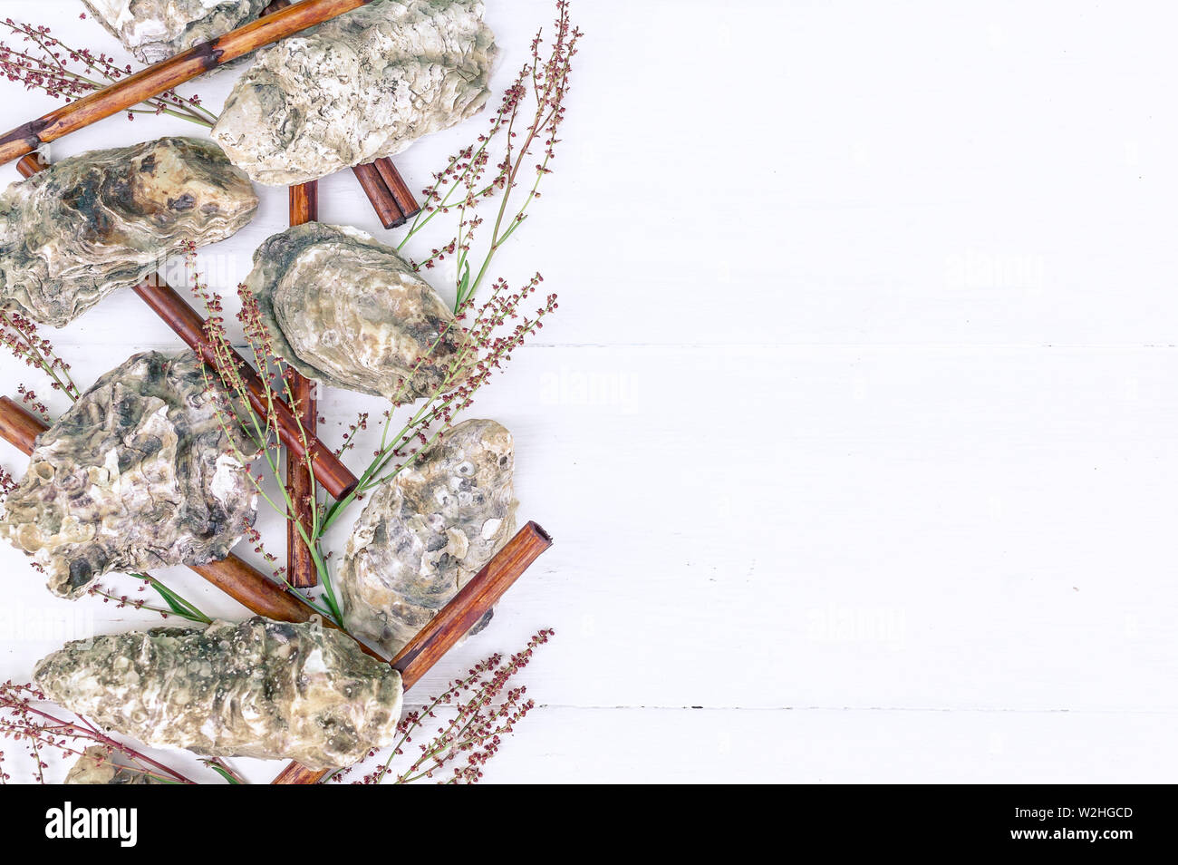 Horizontal spa border. Oyster shells, sea pebbles, dry bamboo, young ...