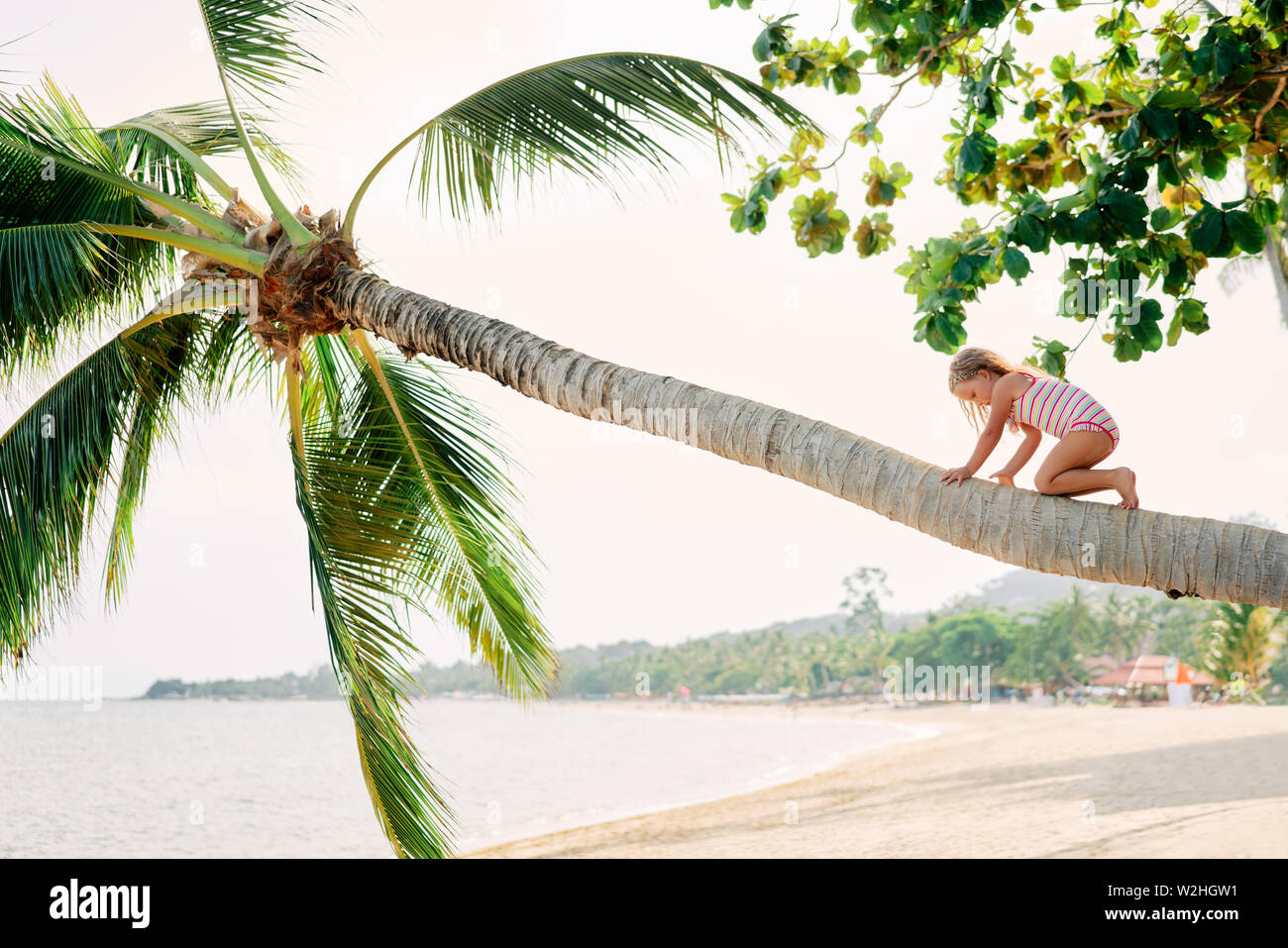 Cute little blonde girl climbing on the palm treeon the beach. Summer ...