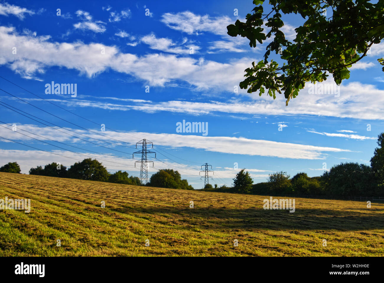 Electricity pylons among fields in the English countryside Stock Photo ...