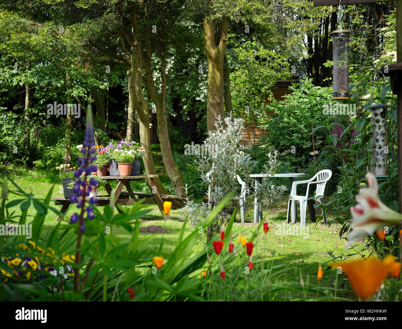 Mid summer morning hi-res stock photography and images - Alamy