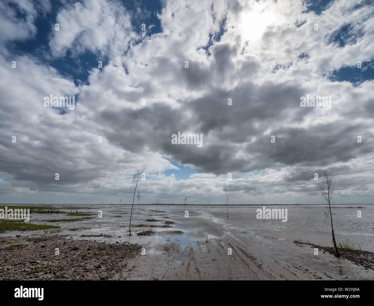 Danish wadden sea national park hi-res stock photography and images - Alamy