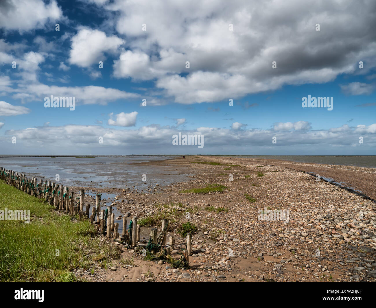 Wadden sea road to the island Mandoe in Denmark Stock Photo - Alamy
