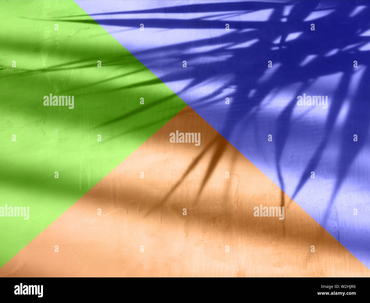 Colorful background with shadow from flowers Stock Photo - Alamy