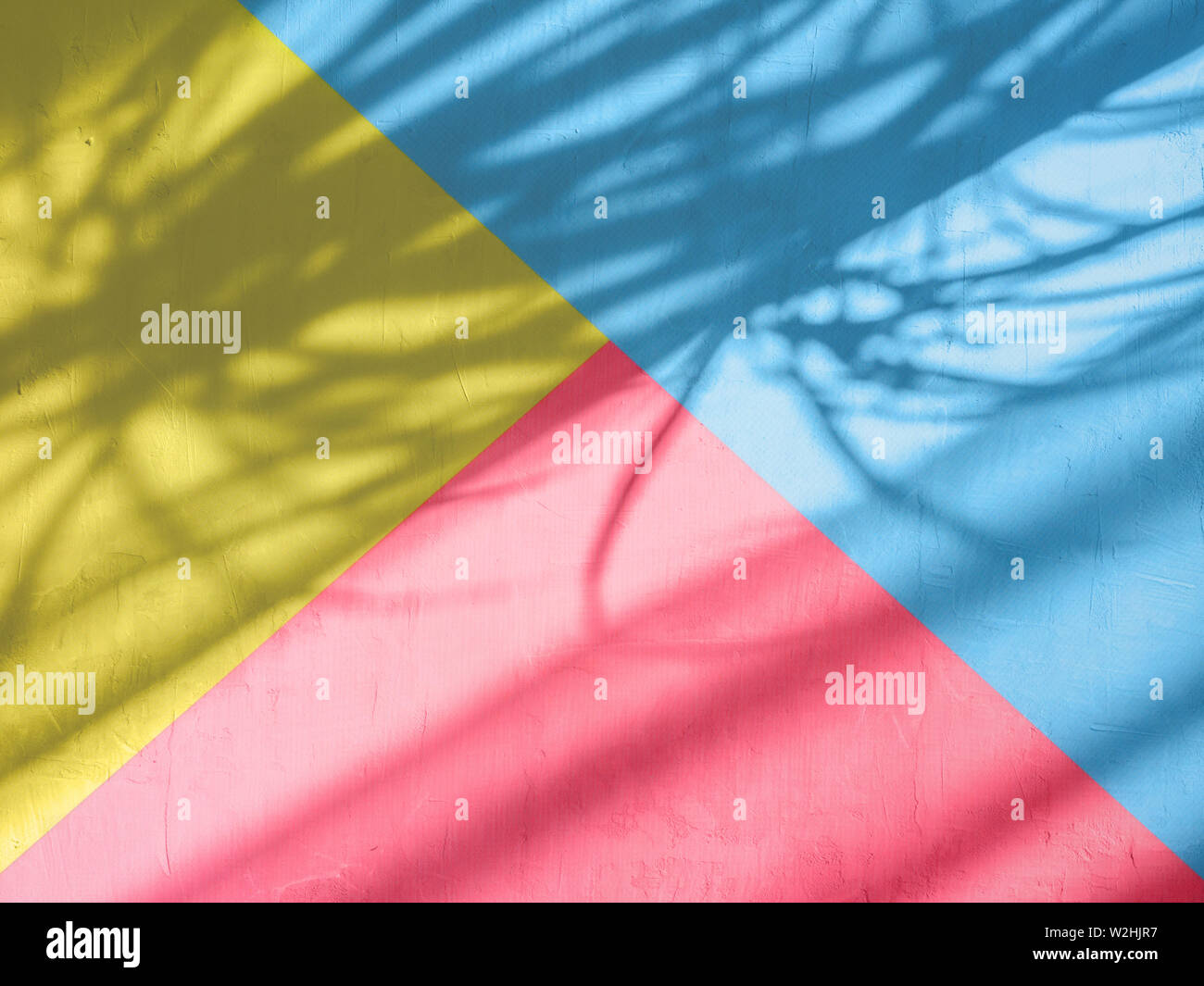 Colorful background with shadow from flowers Stock Photo - Alamy