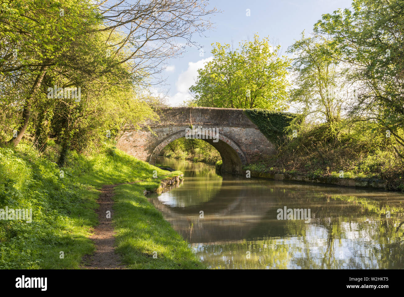 Crick, Northamptonshire, UK: Partly overgrown arched brick bridge over ...