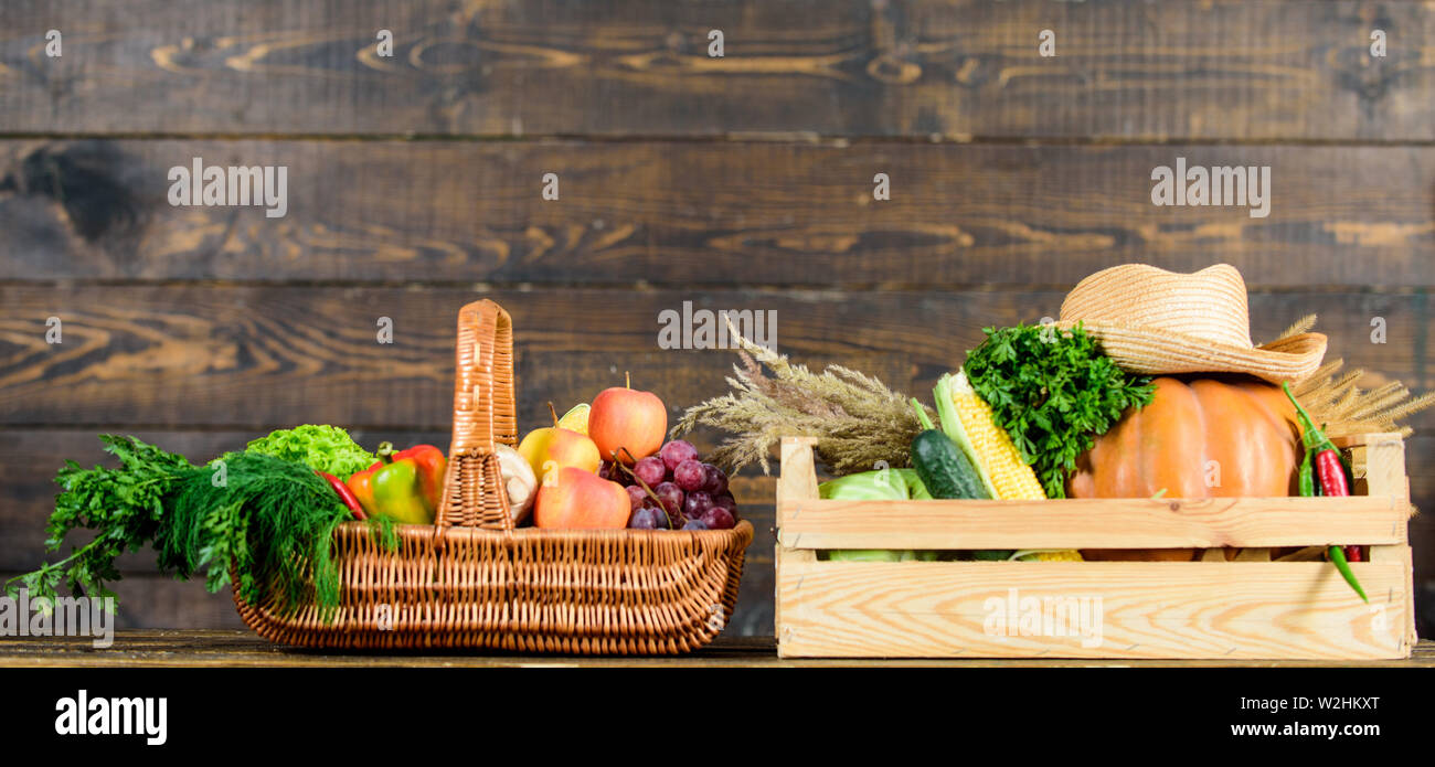 Just from garden. Delivery service fresh vegetables from farm. Buy ...