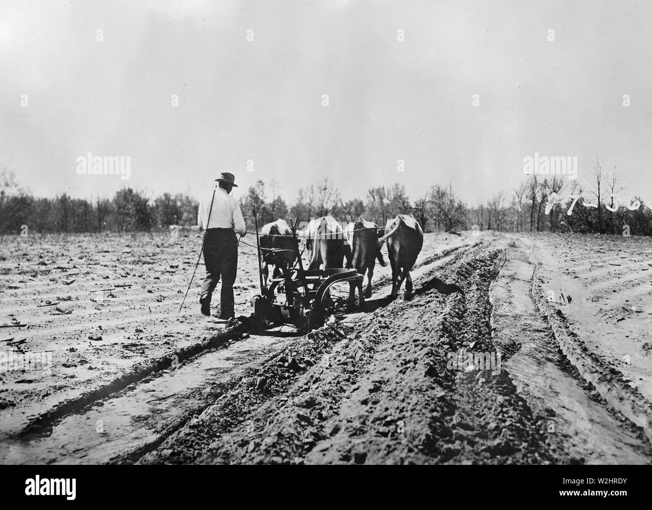 Early 20th century farmer hi-res stock photography and images - Alamy