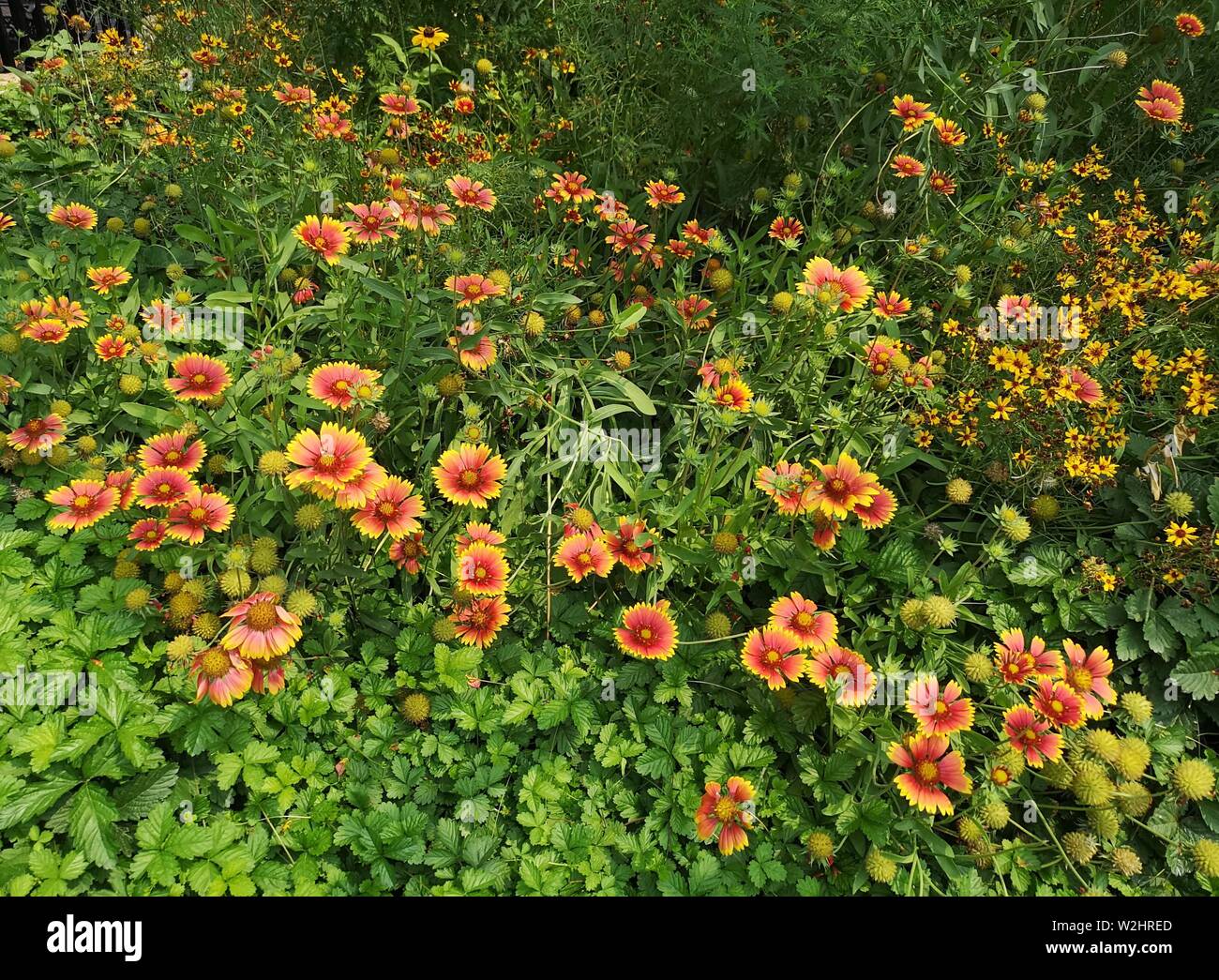 Jing ding hi-res stock photography and images - Alamy