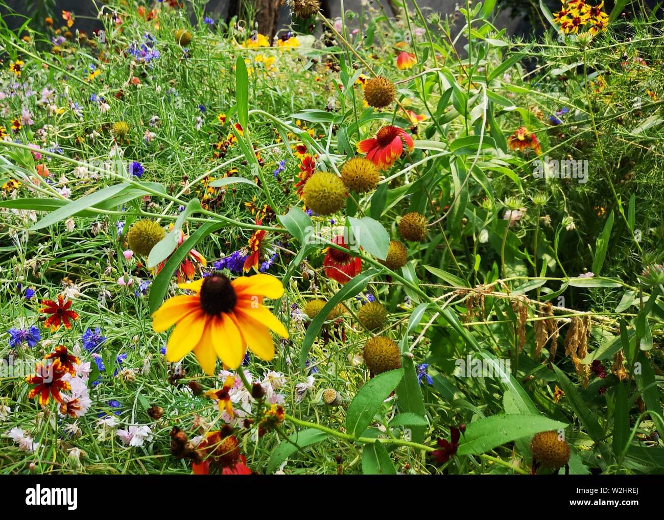 Jing ding hi-res stock photography and images - Alamy