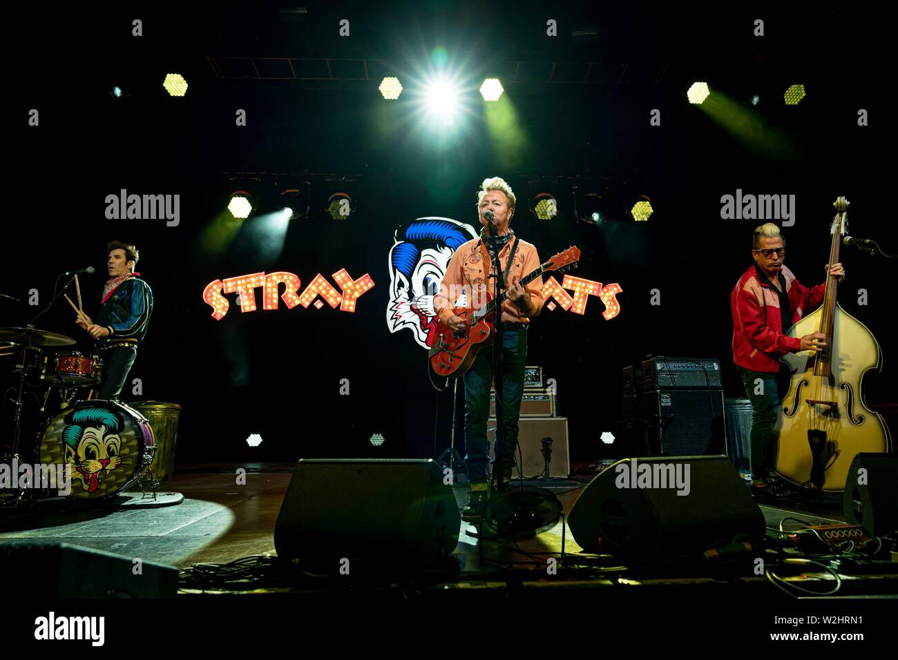 Stray cats band hi-res stock photography and images - Alamy