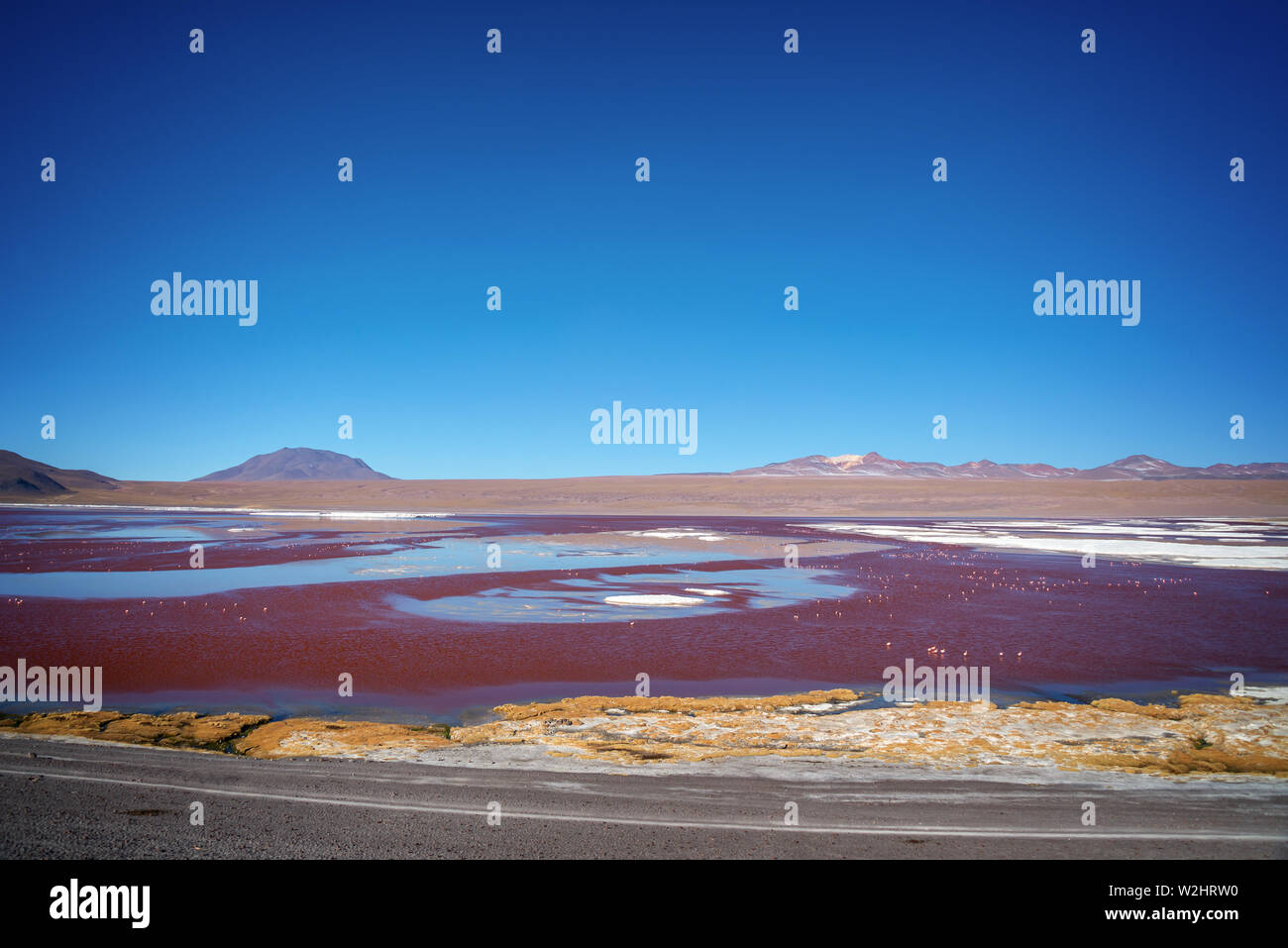 View of Laguna Colorada, colorful salt lake in Sur Lipez province ...