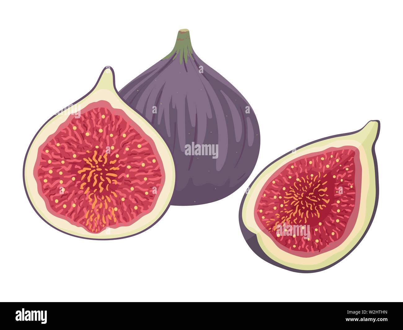 Fresh ripe delicious juicy figs whole and cut in half and quarter. Fig ...