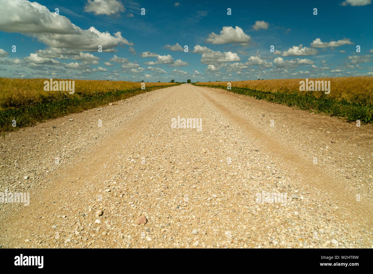Dirt Field Background