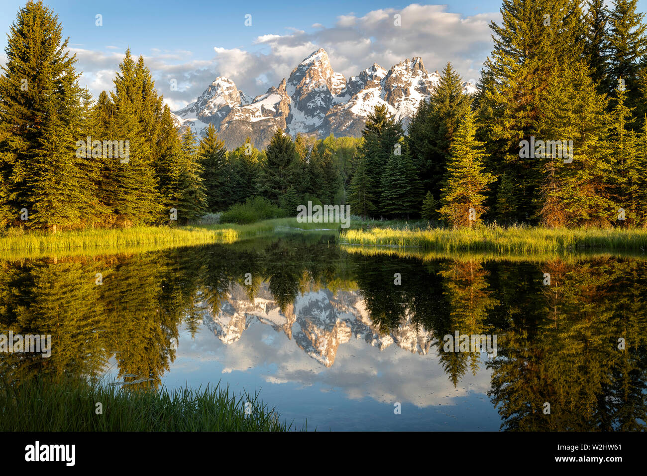 Schwabacher landing beaver pond hi-res stock photography and images - Alamy