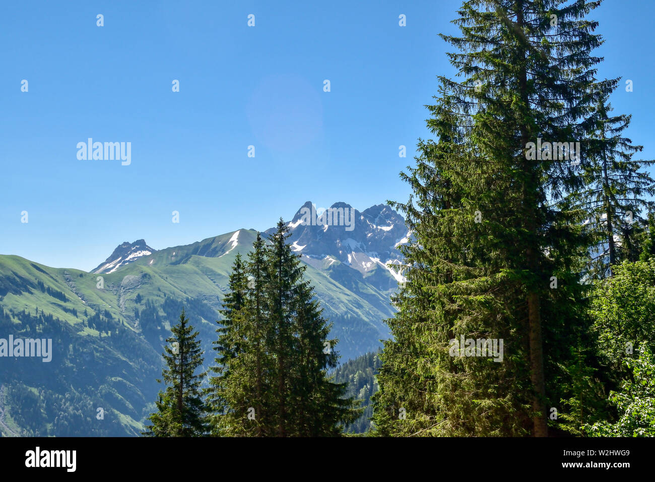 German alps grass hi-res stock photography and images - Alamy
