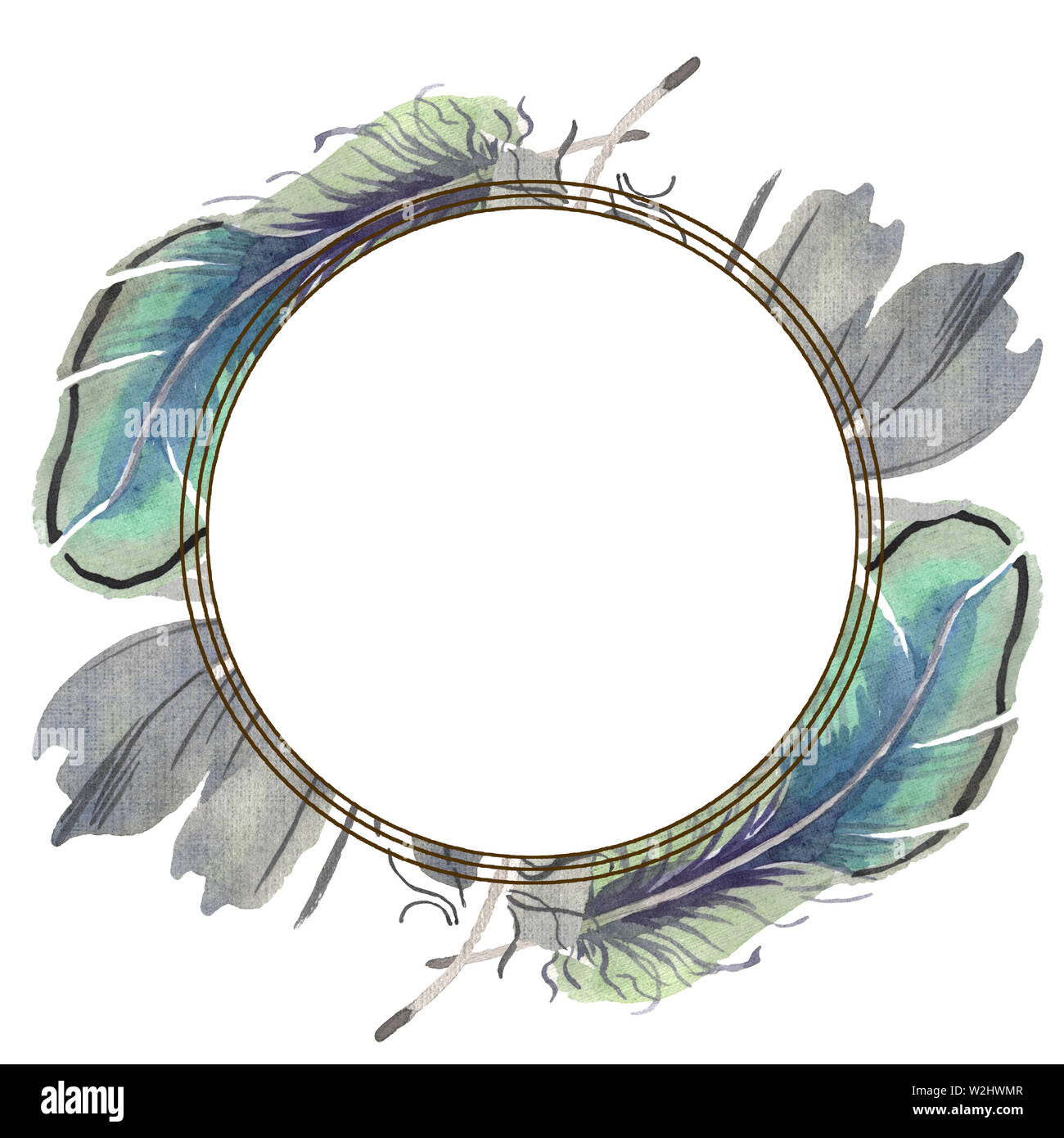 Watercolor bird feather from wing isolated. Aquarelle feather for ...